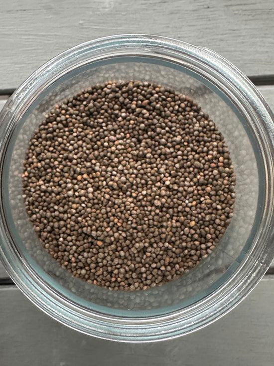 Nutritious Perilla Seeds | Humble Origins Superfoods