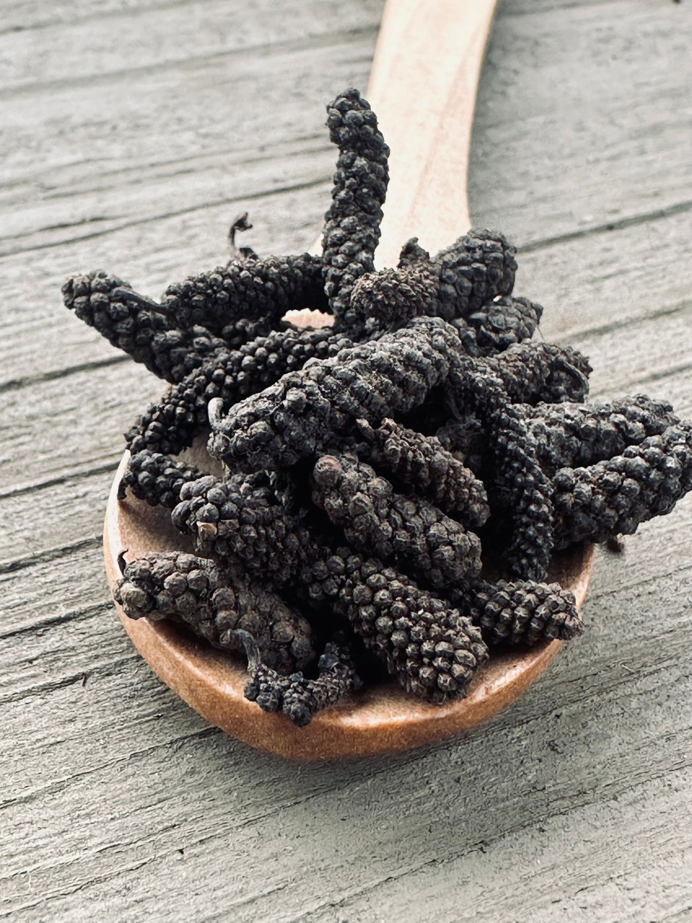 Warm Wild Long Pepper | Humble Origins Superfoods